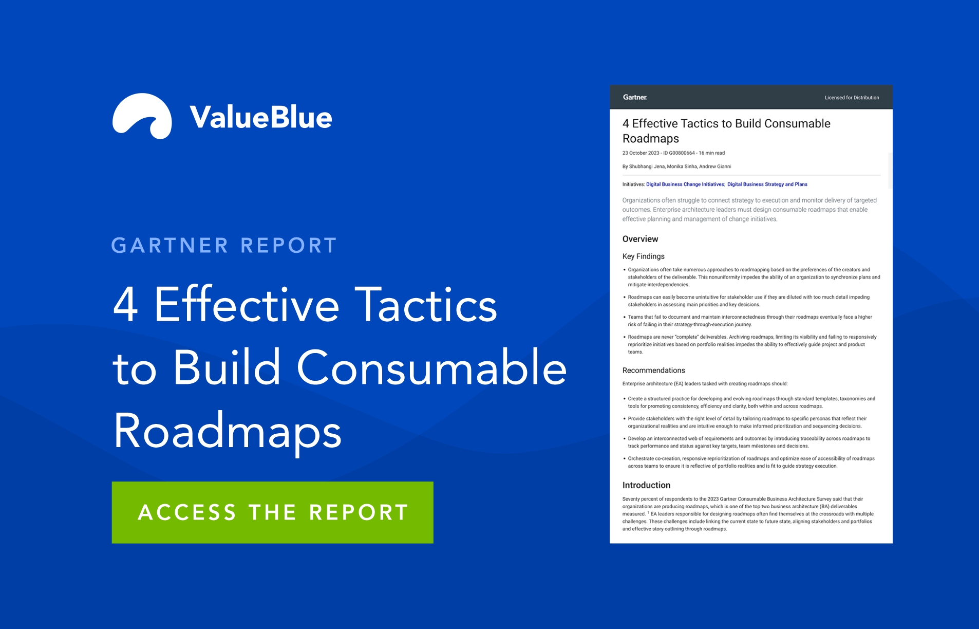 BlueDolphin Fundamentals